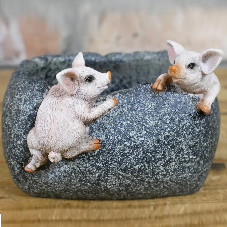 Small Pig Trough Planter – Decor Vibes Ltd